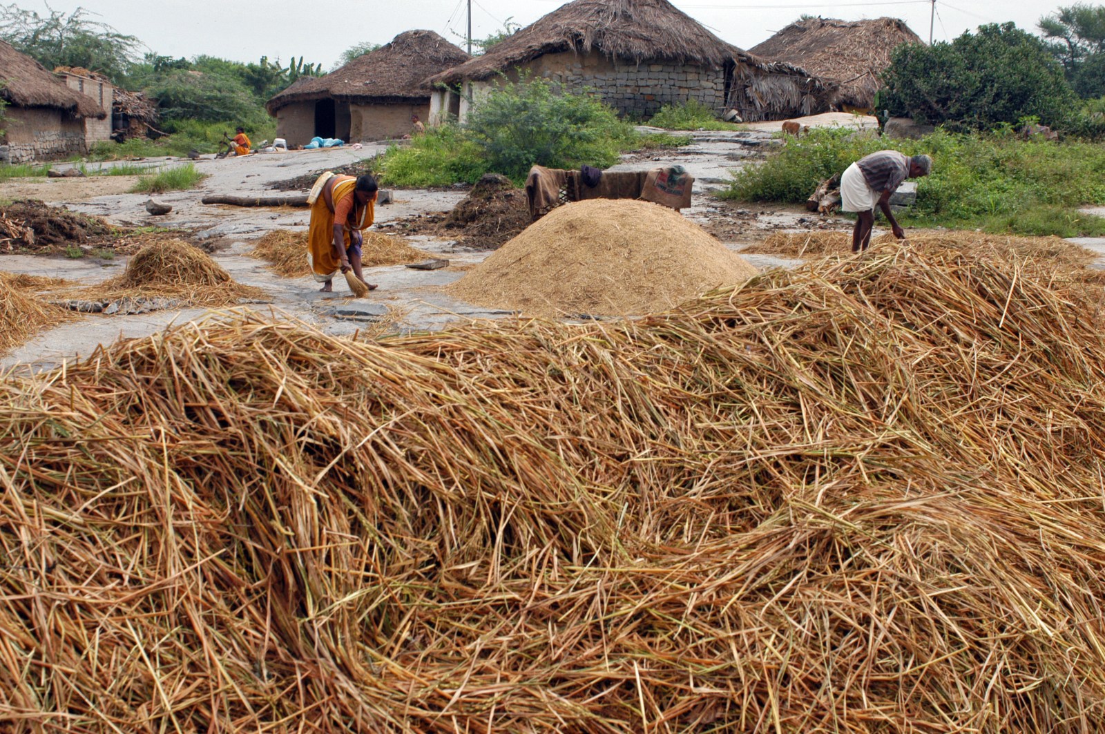 En Inde, les Jésuites au secours des "Intouchables"