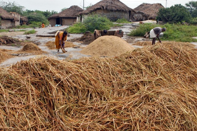 En Inde, les Jésuites au secours des “Intouchables”