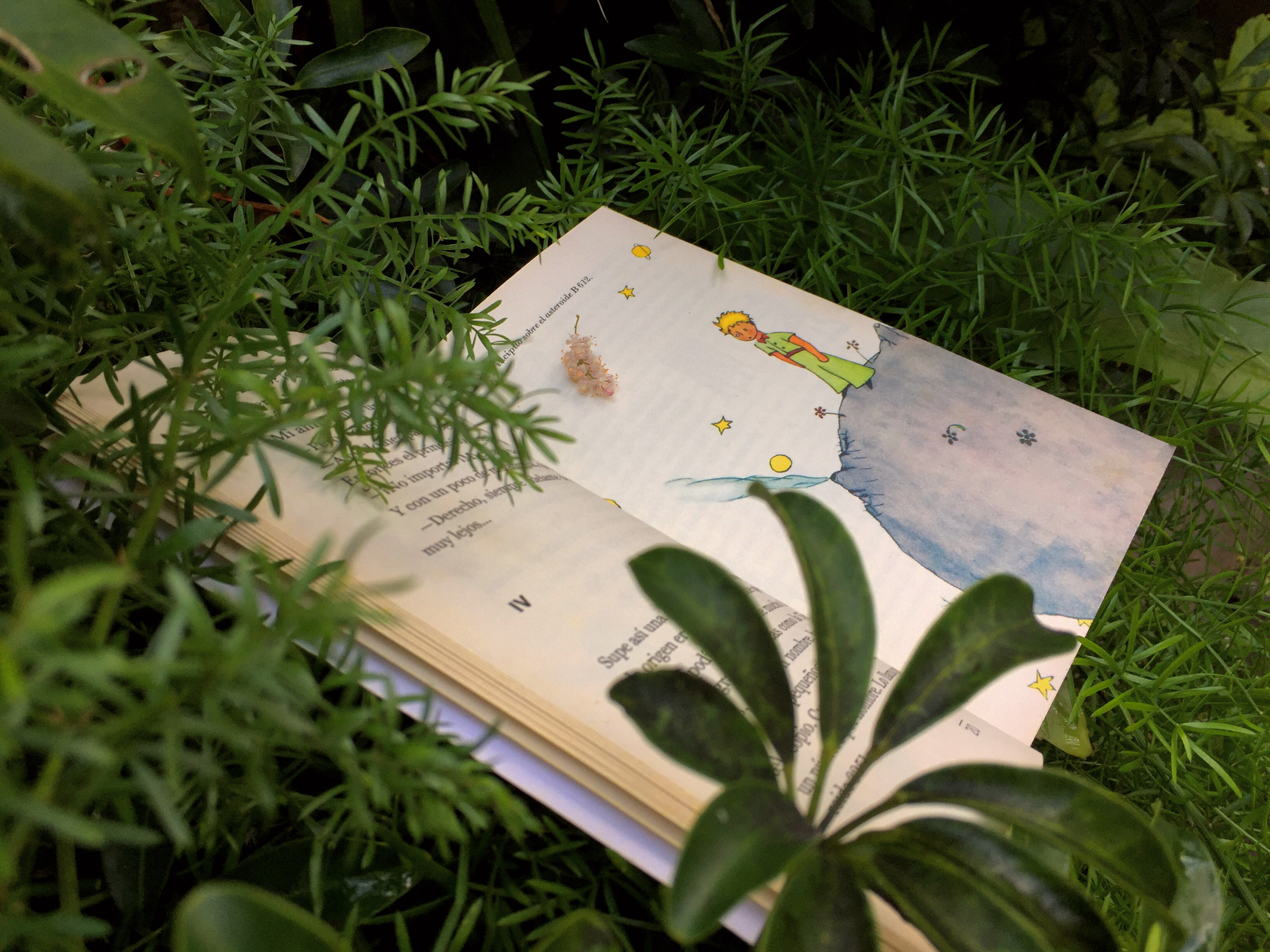 Dix versets bibliques pour réconforter un proche en deuil