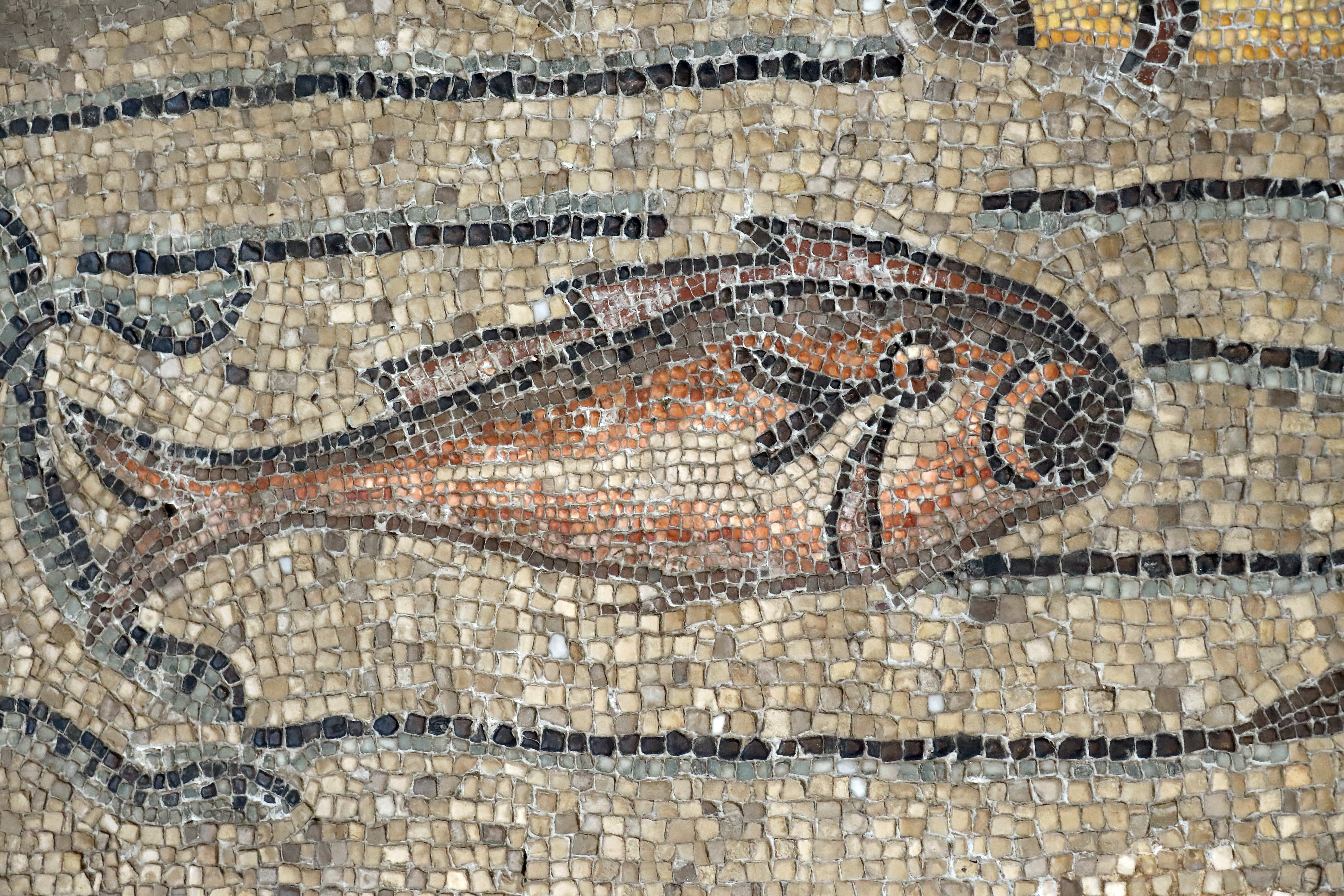 Le poisson, une nourriture biblique hautement symbolique