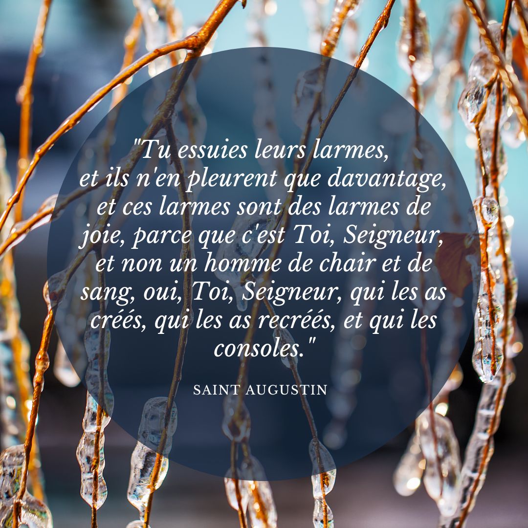 Douze pensées des grands saints sur la consolation Douze pensées des grands saints sur la consolation