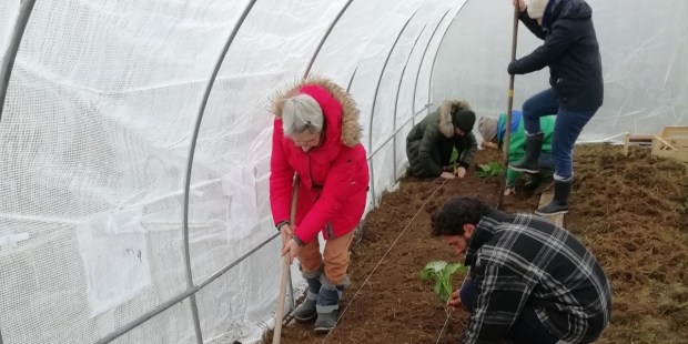 Plantatio, l’école qui forme ceux qui veulent transmettre et enseigner ...