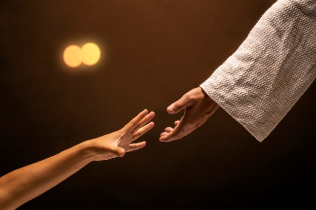 Quatre attitudes pour suivre Jésus