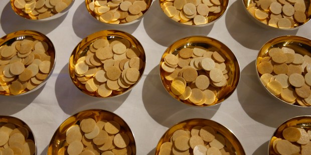 Ce sont eux qui vont fournir le blé pour les hosties des JMJ de Lisbonne