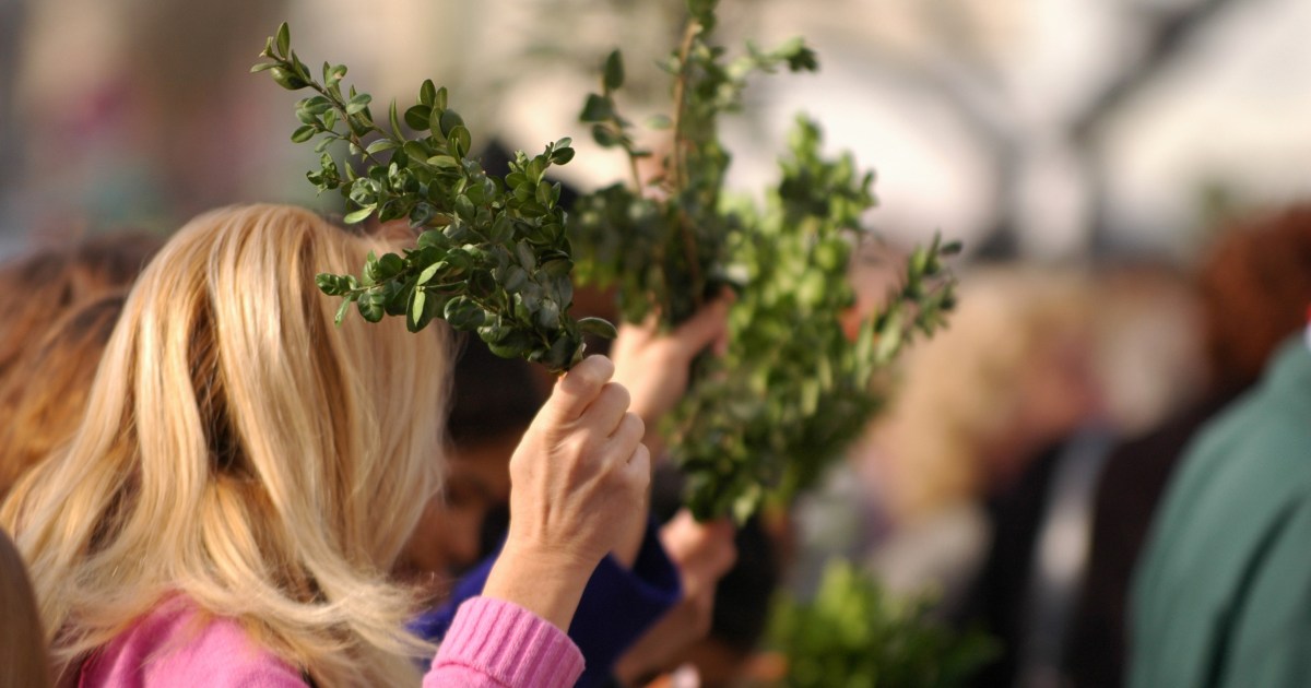 Non, les rameaux ne sont pas des porte-bonheurs