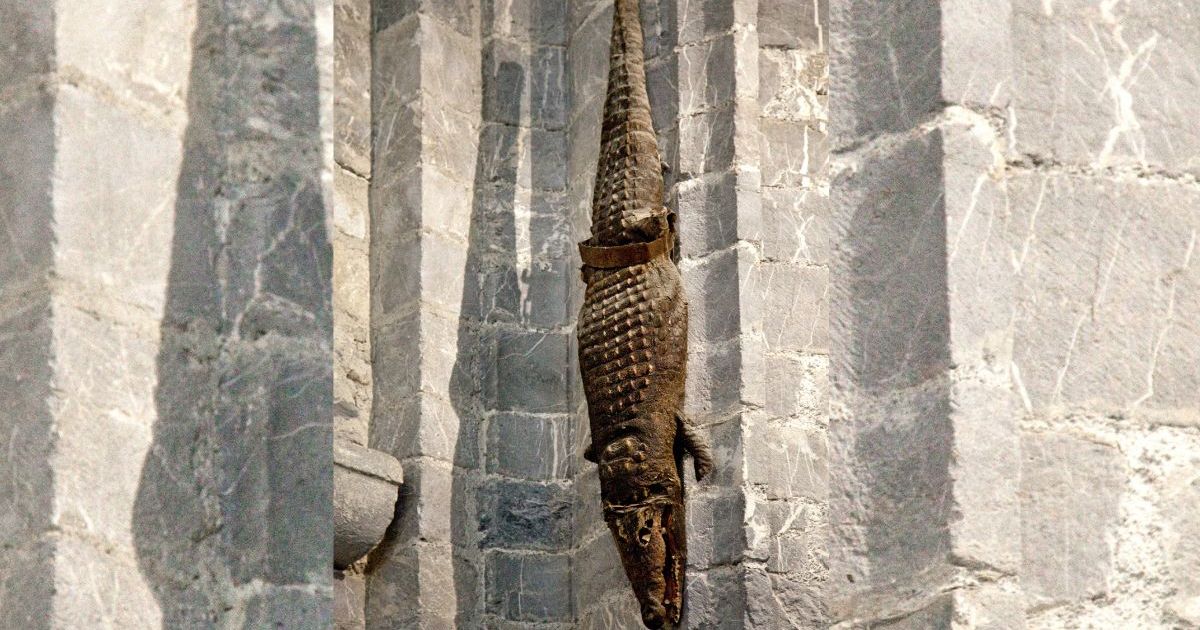 Un crocodile dans une église… légende ou ex-voto